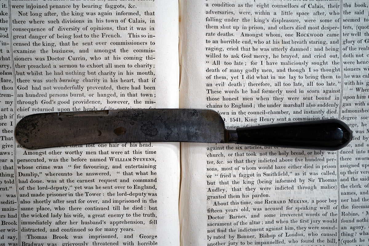 A Rare Early Victorian Irish Horn & Steel Table Knife; Clonmel Lunatic ...