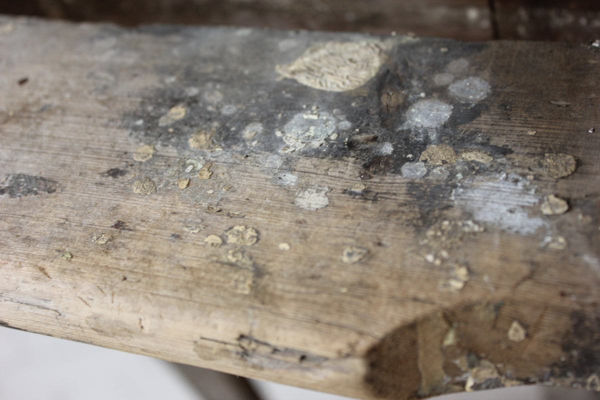 A Good Early 20thC Oak Step Ladder – Doe & Hope