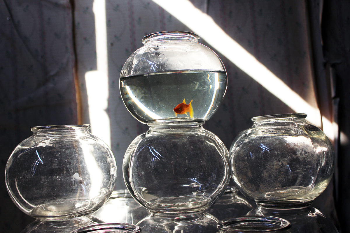A Group of Seventeen Original 1960’s Fairground Glass Goldfish Bowls ...