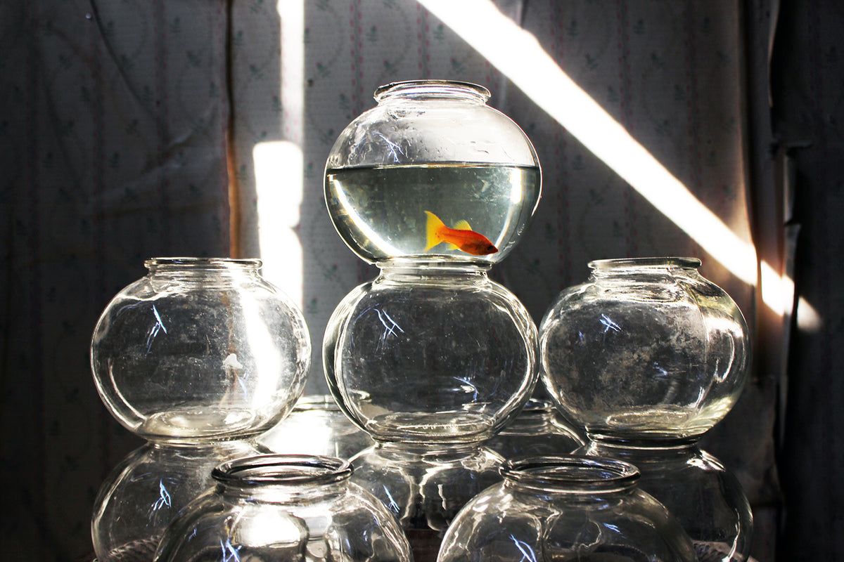 A Group of Seventeen Original 1960’s Fairground Glass Goldfish Bowls ...