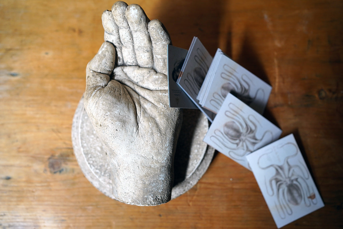 A Late 19thC Life-Size Plaster Cast of a Human Hand – Doe & Hope