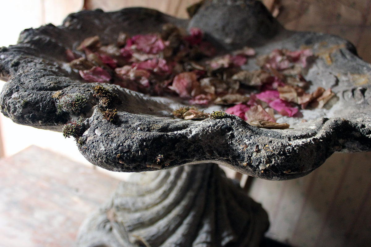 A Mid-20thC Cast Composition Stone Scallop Shell Bird Bath – Doe & Hope