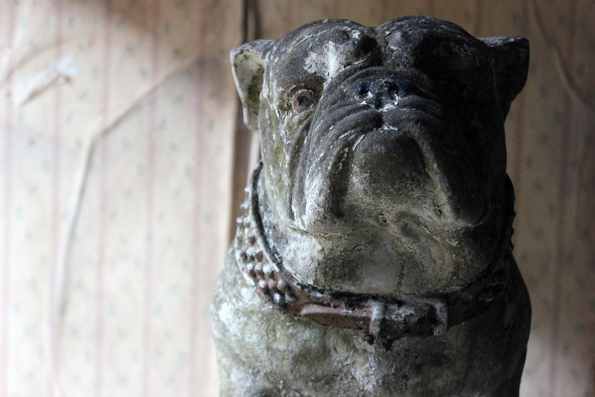 A Decorative Mid 20thC Painted Cast Stone Bulldog c.1940-50 – Doe & Hope