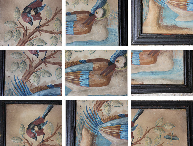 Circle of Samuel Dixon; A Marvellous Trio of Ornithological Embossed W ...